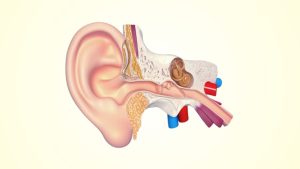 Top Things to Know About Ear Tube Surgery for Kids: What Parents Need ...